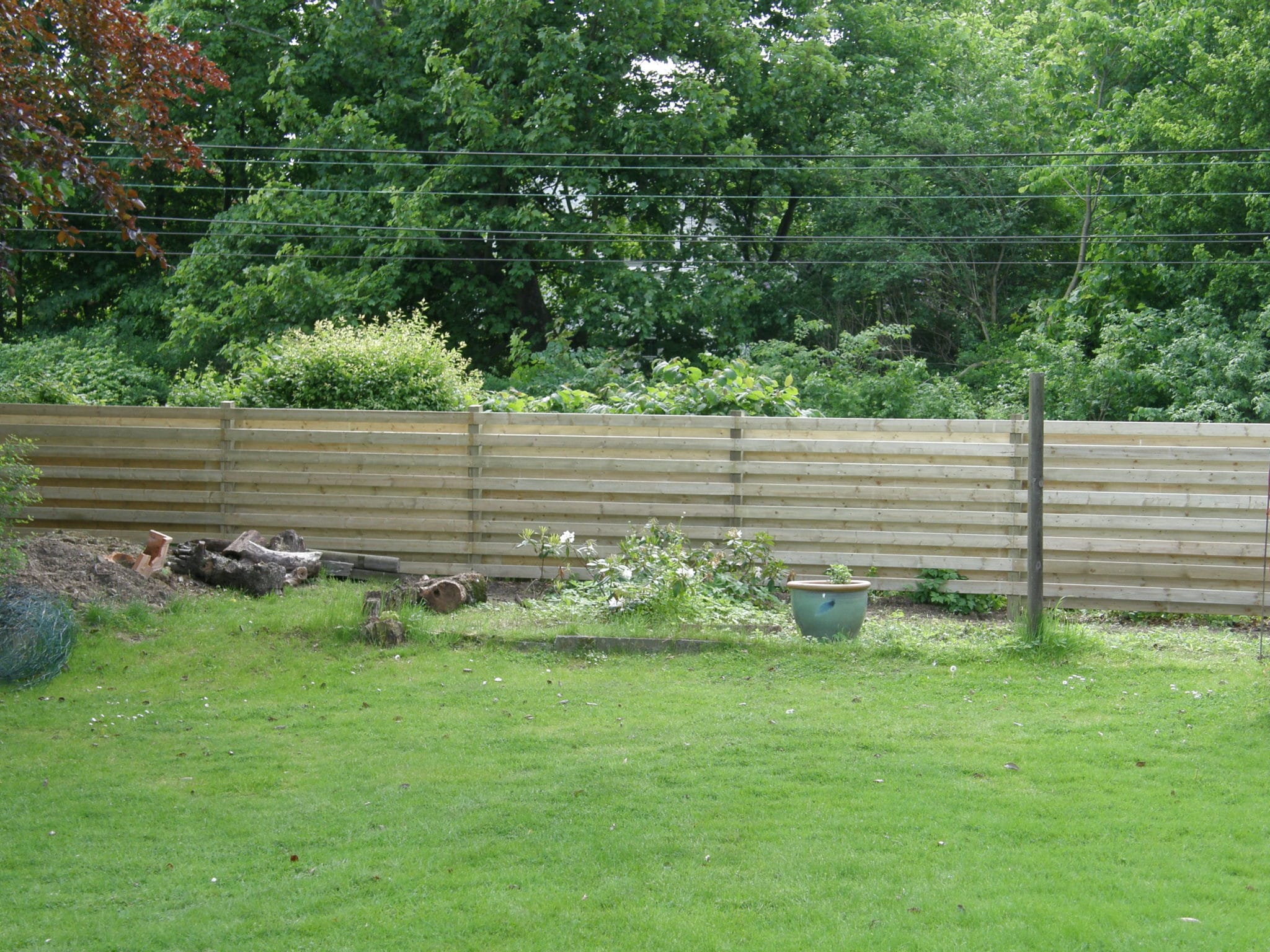 Hegn | Anlægsgartner | K. Nyholm Gartnerservice i Birkerød